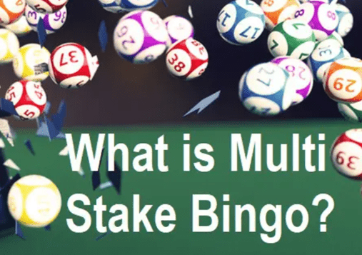 What is Multi Stake Bingo? - Choose Your Bingo Ticket Price
